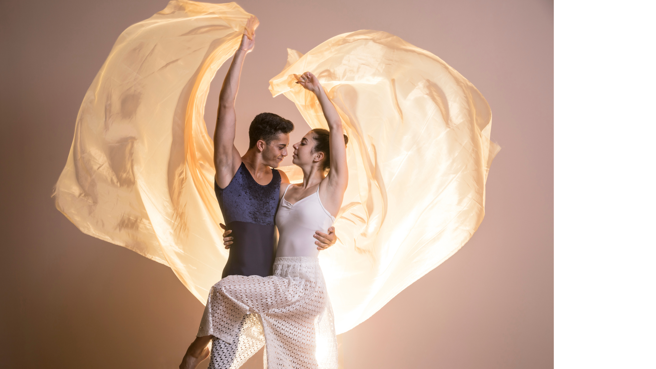 Dance Studio Software - Behind the Curtain: 5 Controversial Truths ...